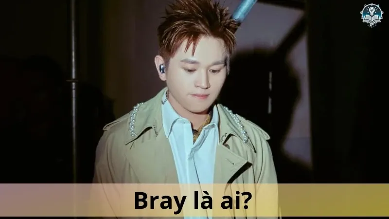 BRay là ai? Tiểu sử, sự nghiệp và những tranh cãi đáng chú ý của chàng ...